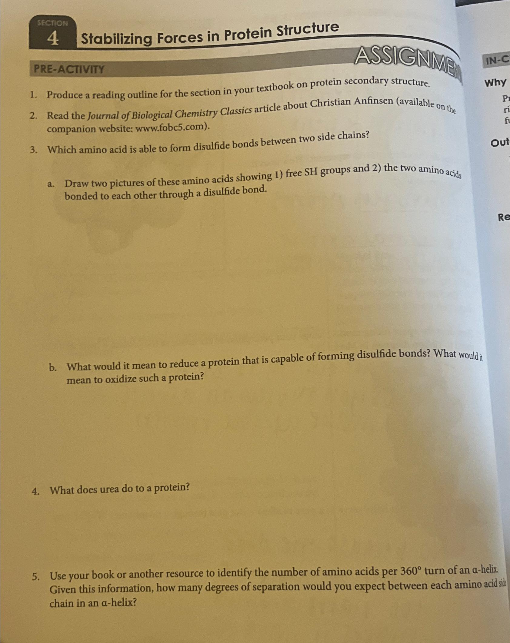 Solved section4 ﻿Stabilizing Forces in Protein | Chegg.com
