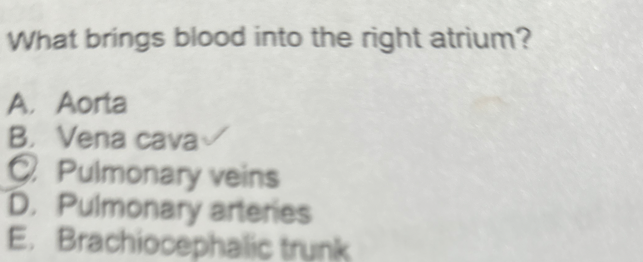 Solved What brings blood into the right atrium?A. ﻿AortaB. | Chegg.com