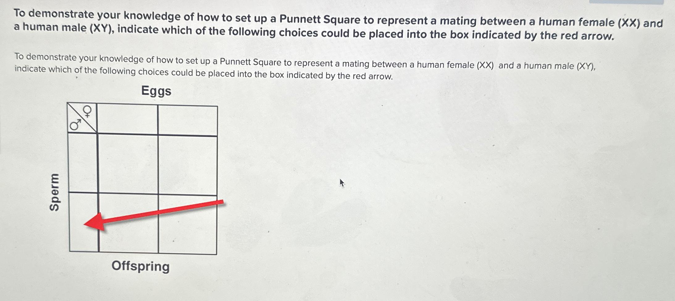 Solved To demonstrate your knowledge of how to set up a | Chegg.com