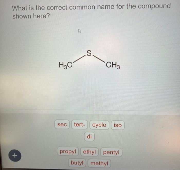 Solved What is the correct common name for the compound | Chegg.com