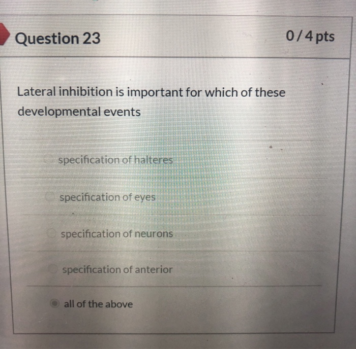 Solved Question 23 0/4 pts Lateral inhibition is important | Chegg.com