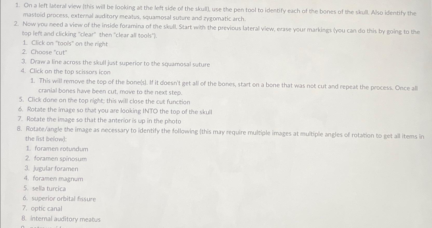 Solved On a left lateral view (this will be looking at the | Chegg.com