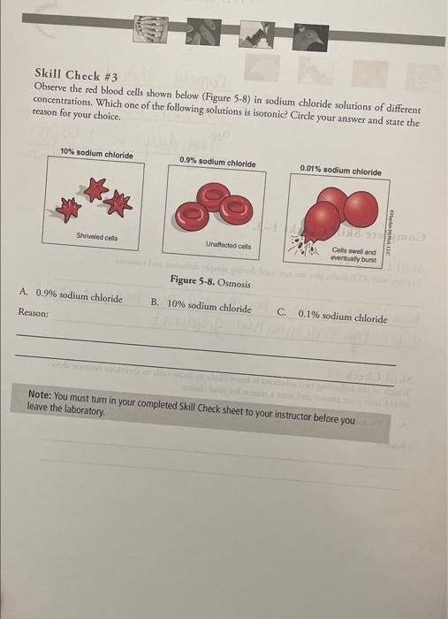 Solved Class Day Complete Skill Checks 1-3. Skill Check #1 | Chegg.com