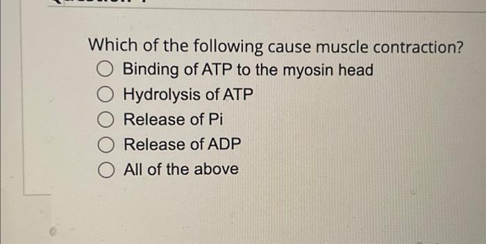 Solved Which of the following cause muscle contraction? O | Chegg.com