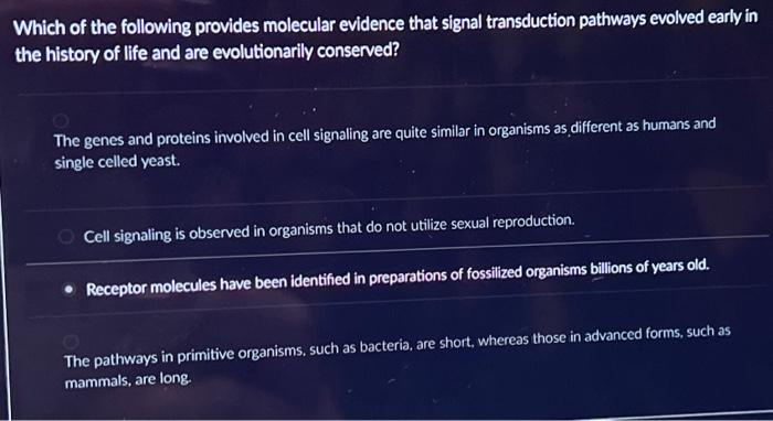 Solved Which of the following provides molecular evidence | Chegg.com