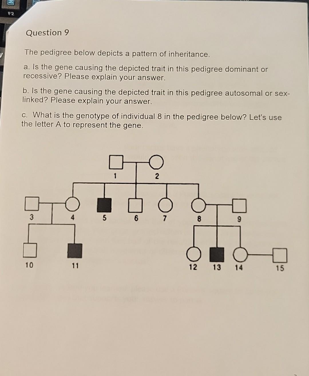 Solved The pedigree below depicts a pattern of inheritance. | Chegg.com