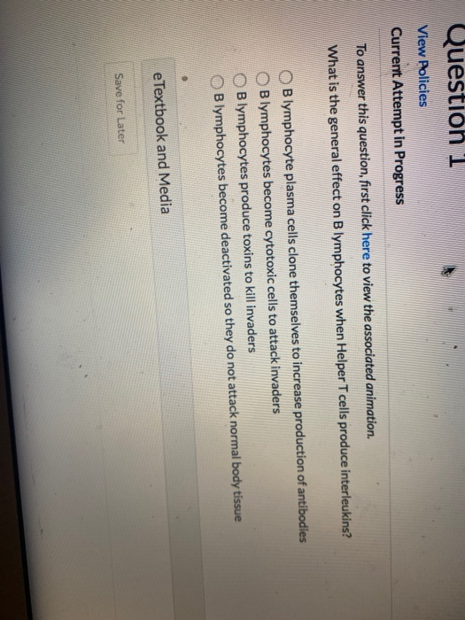 Solved Question 1 View Policies Current Attempt in Progress | Chegg.com