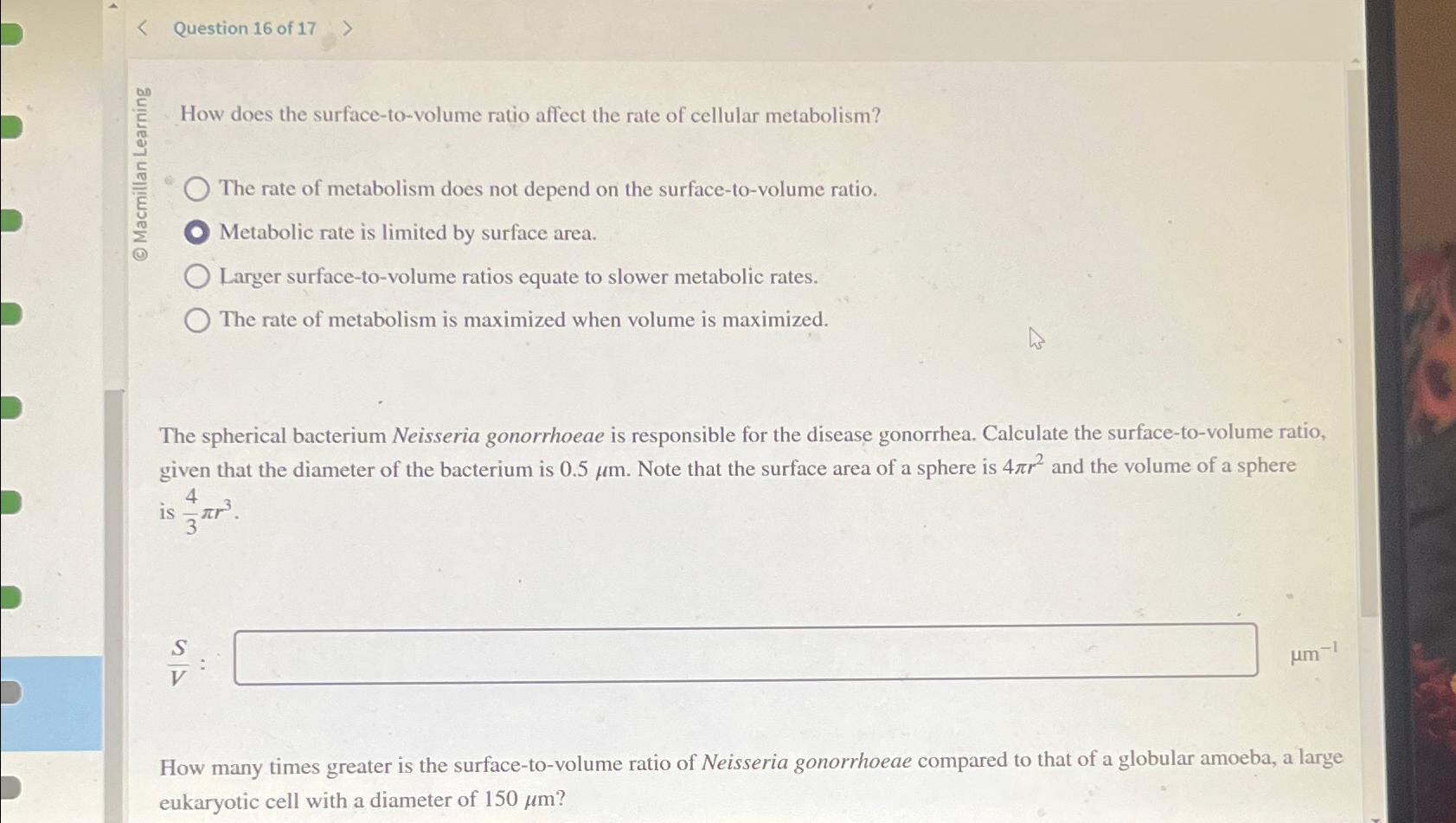 Solved Question 16 ﻿of 17How does the surface-to-volume | Chegg.com