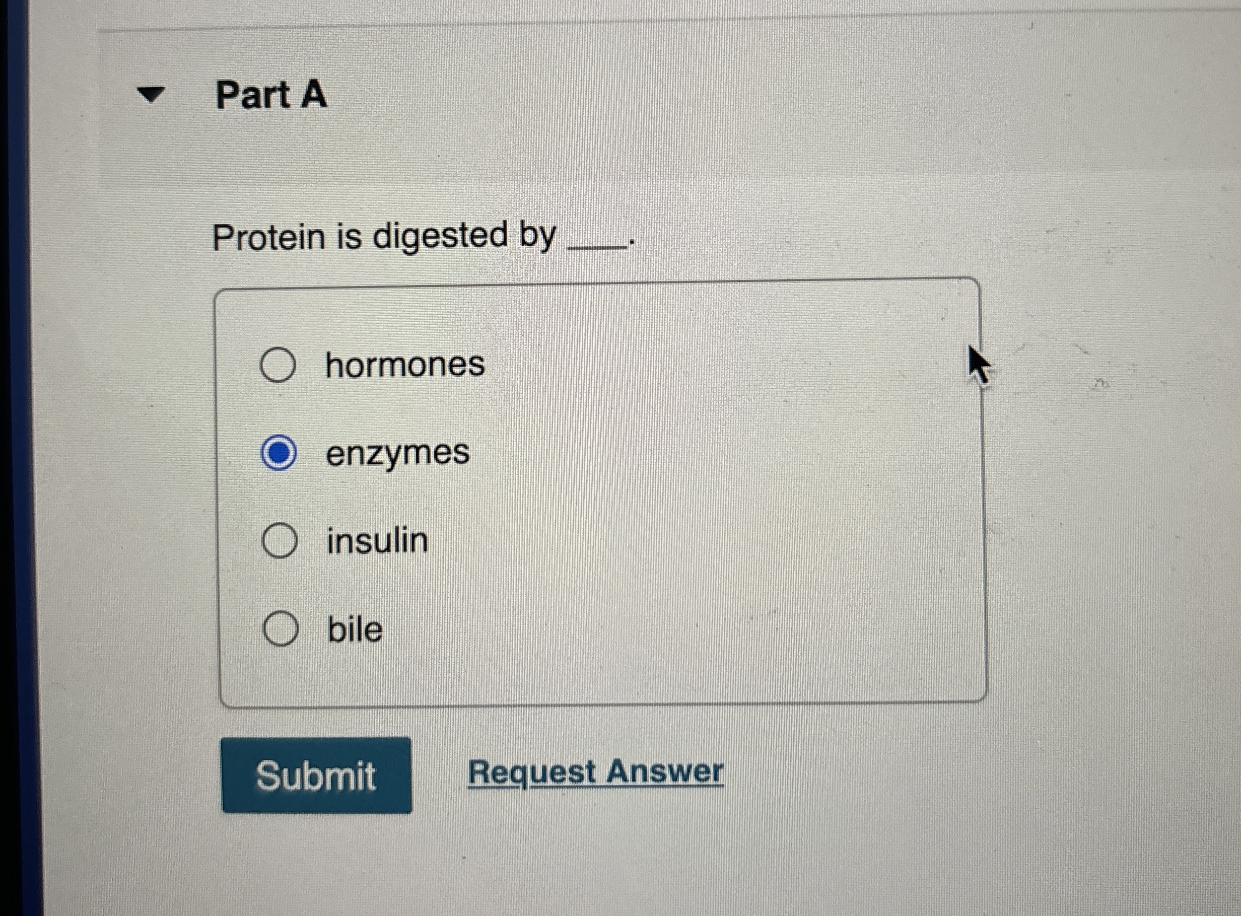 Solved Part AProtein is digested | Chegg.com