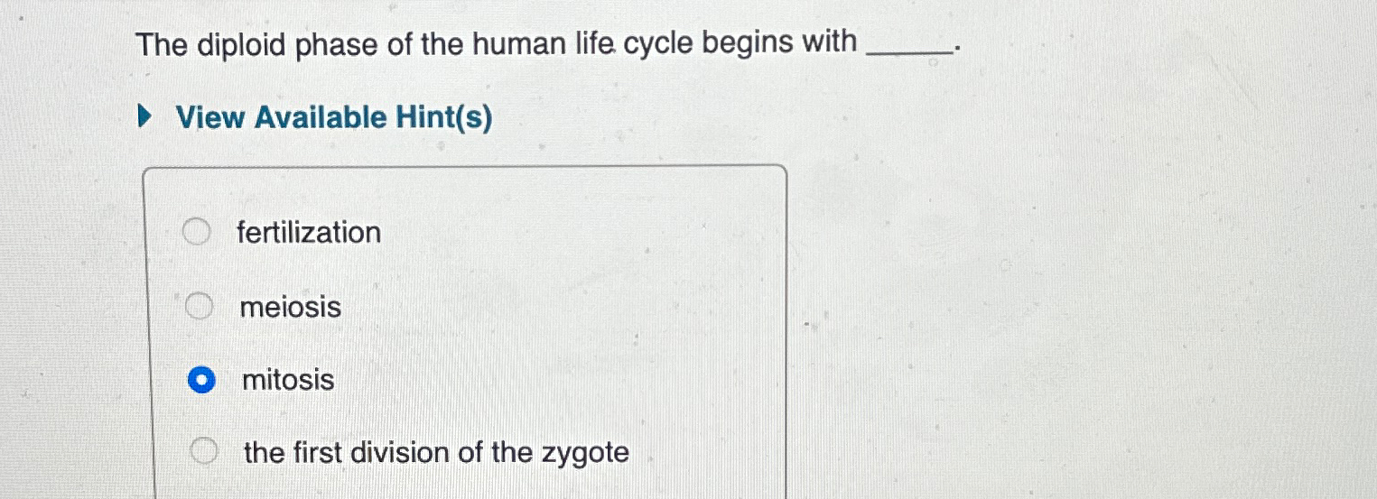 Solved The diploid phase of the human life cycle begins | Chegg.com