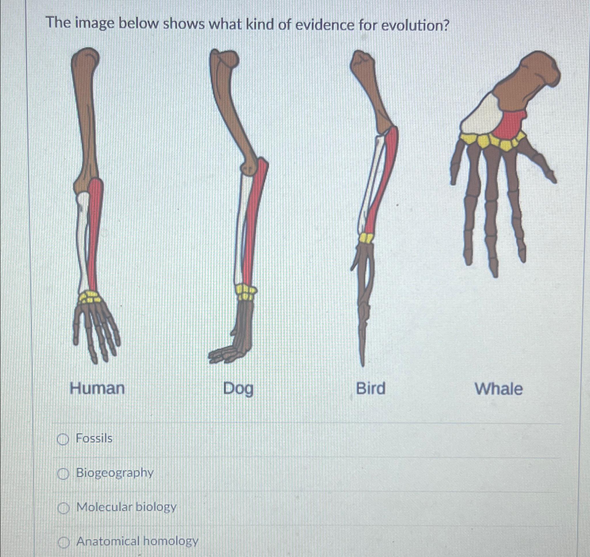 Solved The image below shows what kind of evidence for | Chegg.com