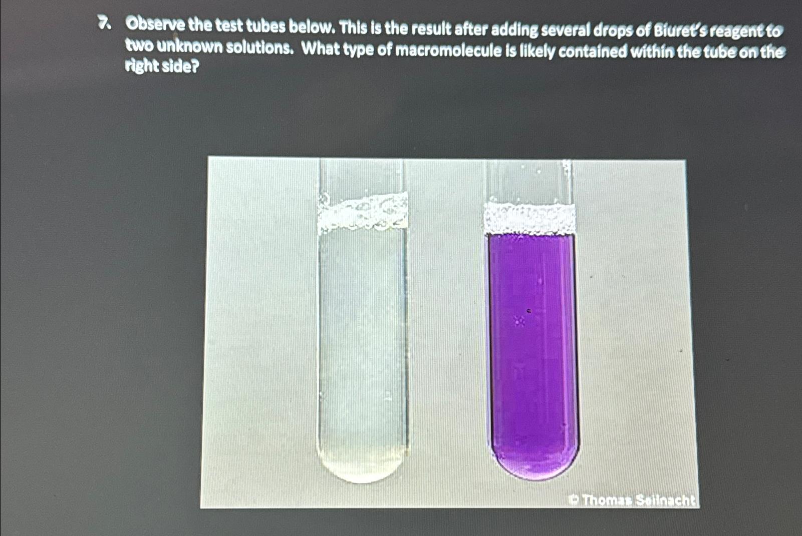 Solved Observe the test tubes below. This is the result | Chegg.com