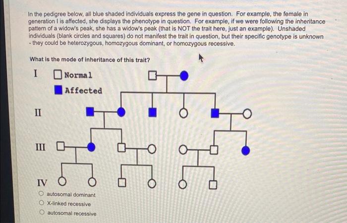 Solved In the pedigree below, all blue shaded individuals | Chegg.com