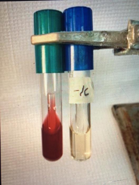 Solved Nitrate experiemental tube (left) and control (right) | Chegg.com