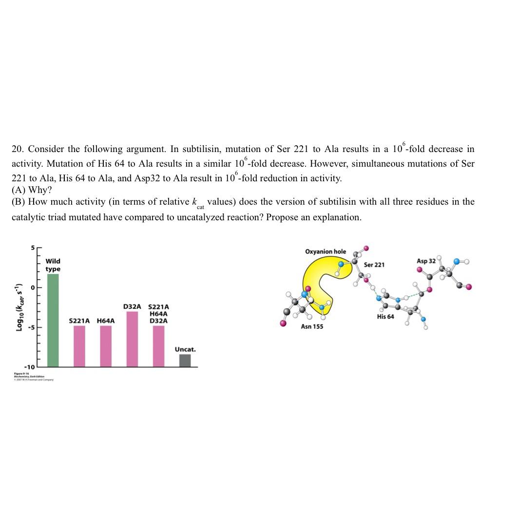 Solved Consider the following argument. In subtilisin, | Chegg.com