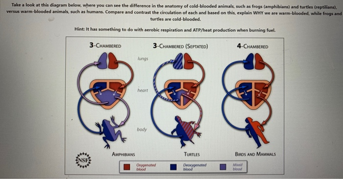 Solved Take a look at this diagram below, where you can see | Chegg.com