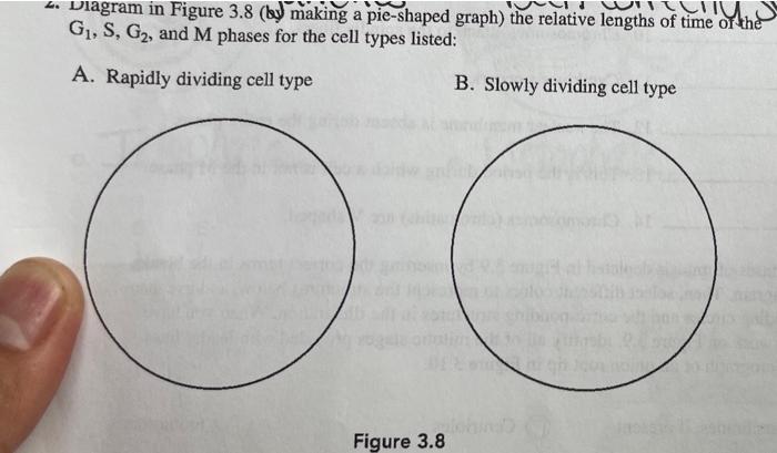 Solved 4. Diagram in Figure 3.8 (by making a pie-shaped | Chegg.com