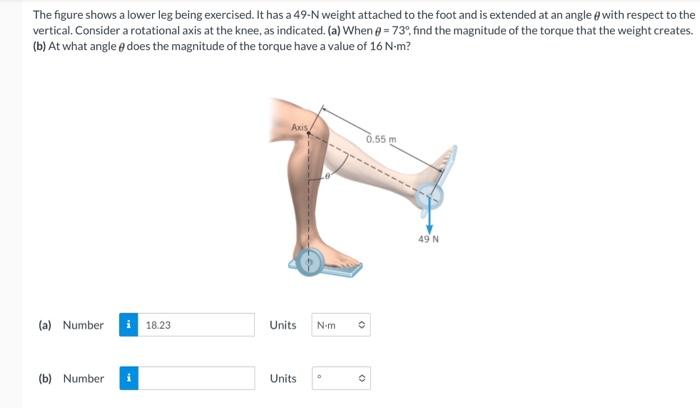 Solved The figure shows a lower leg being exercised. It has | Chegg.com