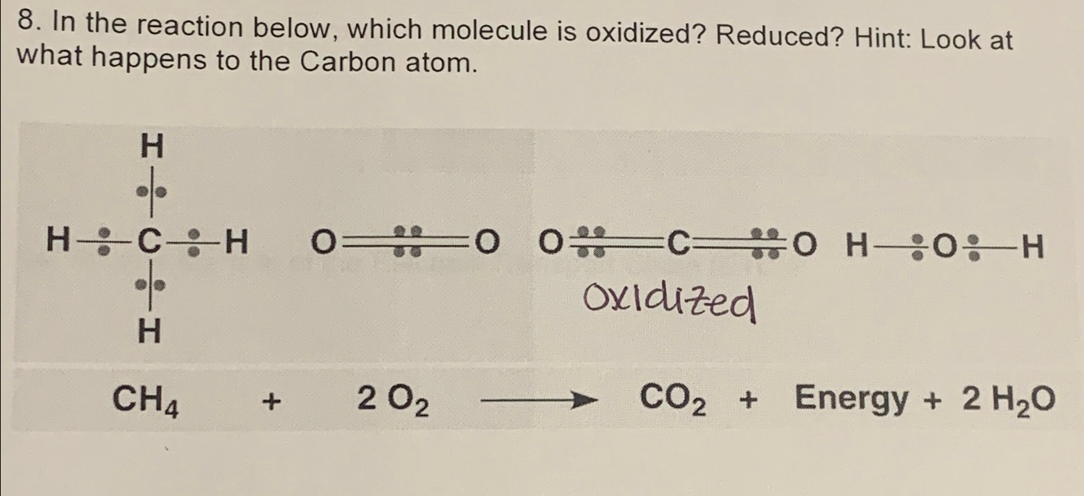 Solved In the reaction below, which molecule is oxidized? | Chegg.com