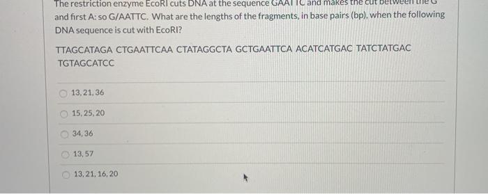 Solved The Restriction Enzyme Ecori Cuts Dna At The Sequence