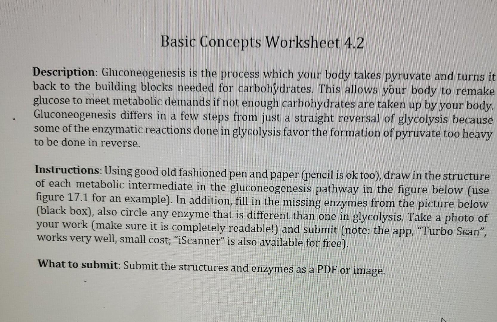 Solved Basic Concepts Worksheet 4.2 Description: | Chegg.com