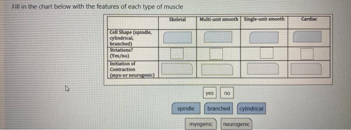 Solved Fitl in the chart below with the features of each | Chegg.com
