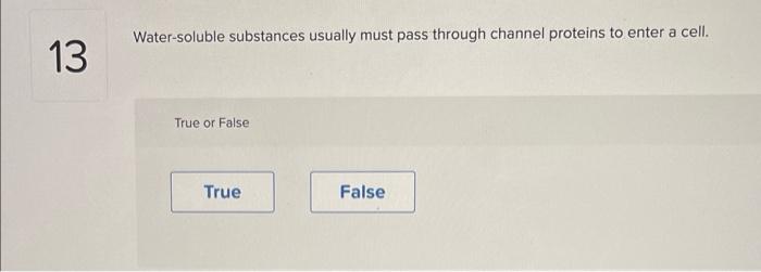 Solved Place the images into the correct order to represent | Chegg.com