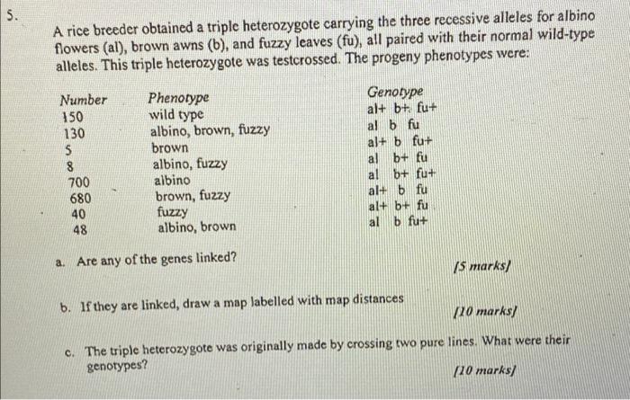 Solved 5. A rice breeder obtained a triple heterozygote | Chegg.com