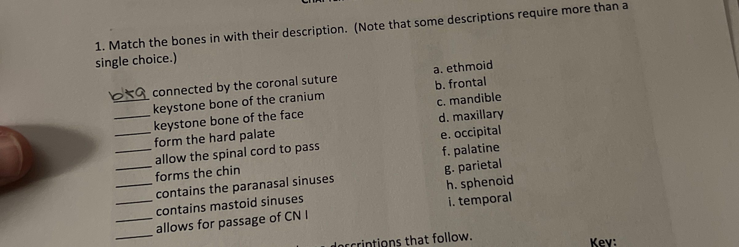 Solved Match the bones in with their description. (Note that | Chegg.com