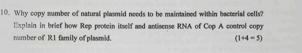 Solved Why copy number of natural plasmid needs to be | Chegg.com
