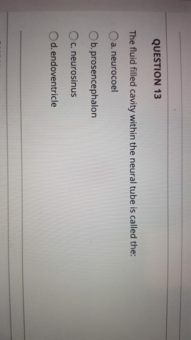 Solved QUESTION 13 The fluid filled cavity within the neural | Chegg.com