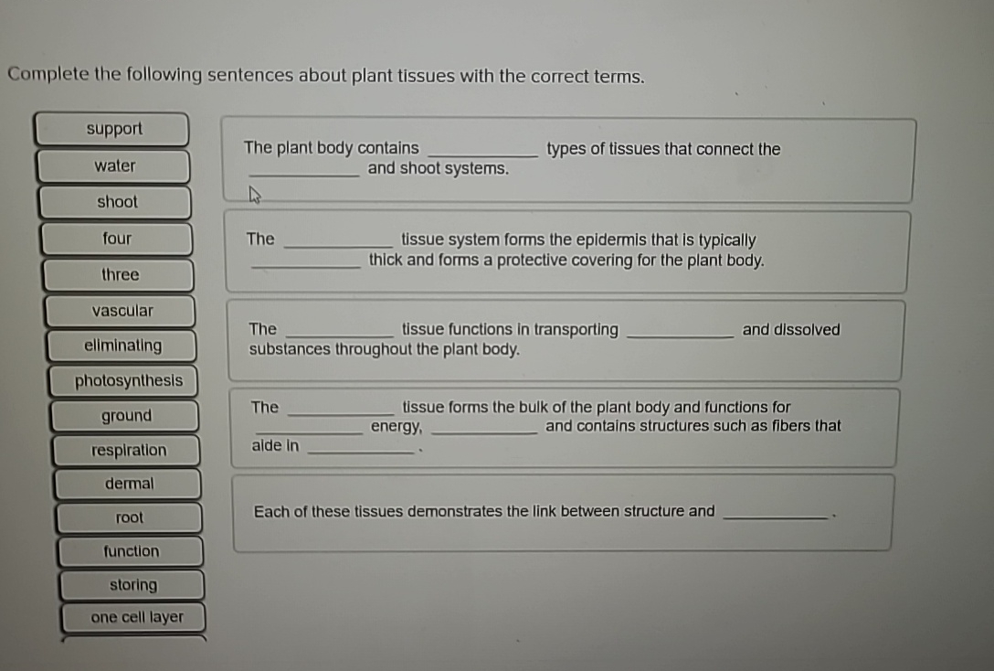 Solved Complete the following sentences about plant tissues | Chegg.com