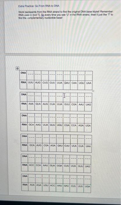 Part 2: Decoding a Protein Pizza Choose one of the | Chegg.com