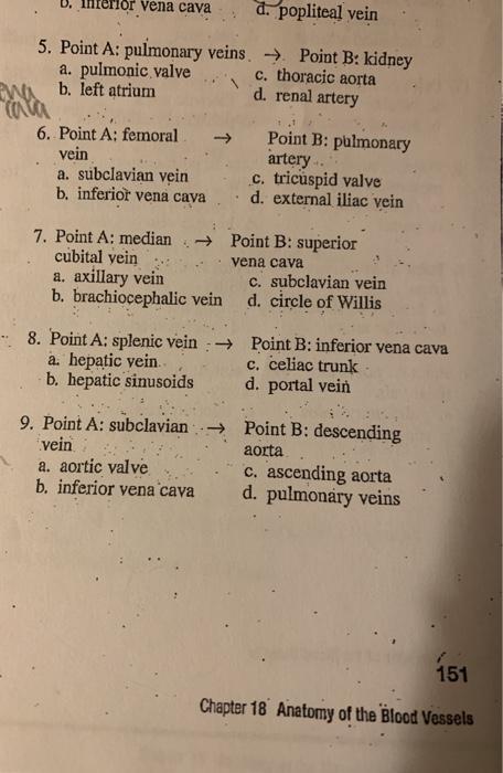 Solved Tior vena cava d. popliteal vein 5. Point A: | Chegg.com