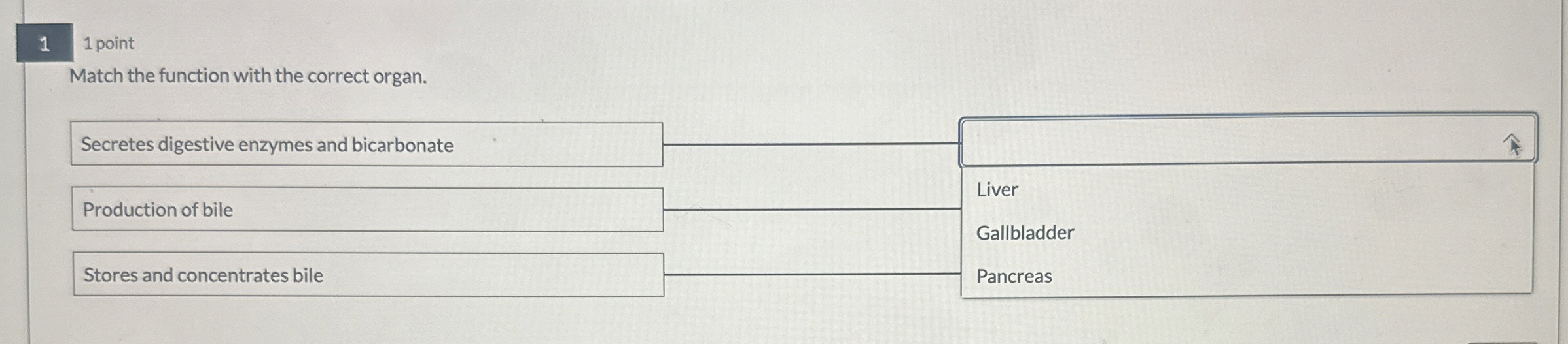 Solved 11 ﻿pointMatch the function with the correct organ. | Chegg.com