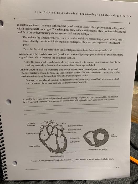 Introduction to Anatomical Terminology and Body | Chegg.com