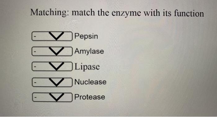Solved Matching: match the enzyme with its function Pepsin | Chegg.com