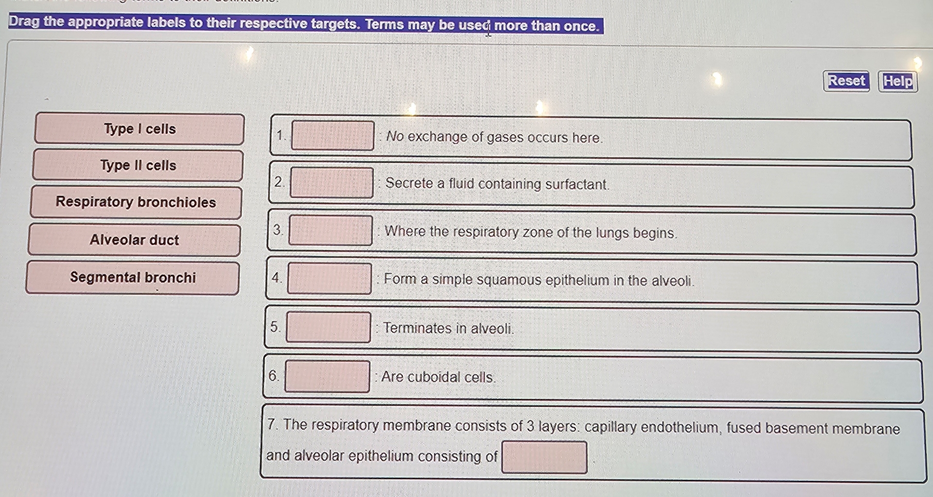 Solved Drag the appropriate labels to their respective | Chegg.com