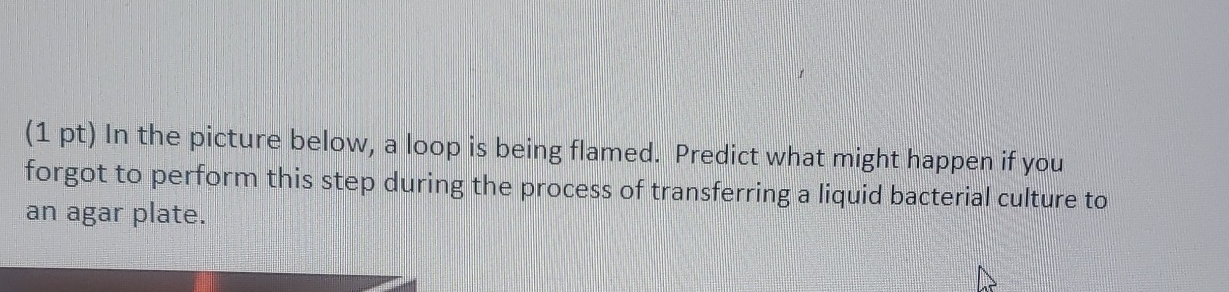 Solved (1 ﻿pt) ﻿In the picture below, a loop is being | Chegg.com