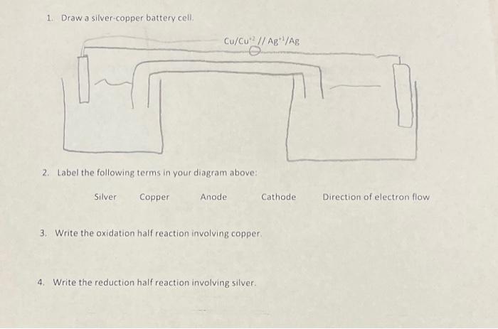Solved 1. Draw a silver-copper battery cell. 2. Label the | Chegg.com