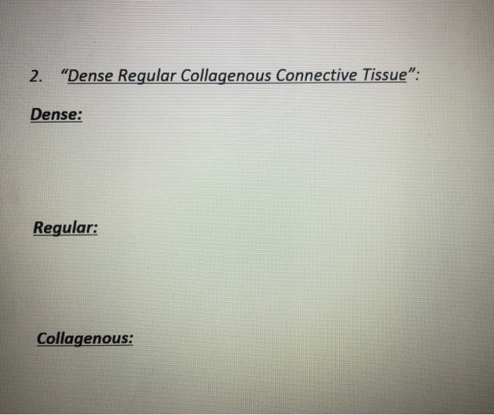 Solved 2. "Dense Regular Collagenous Connective Tissue": | Chegg.com