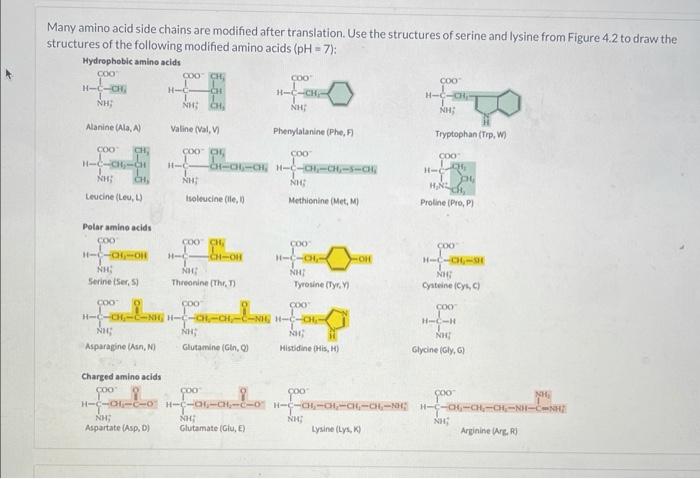 Solved Biochemistry please draw phosphoserine, | Chegg.com