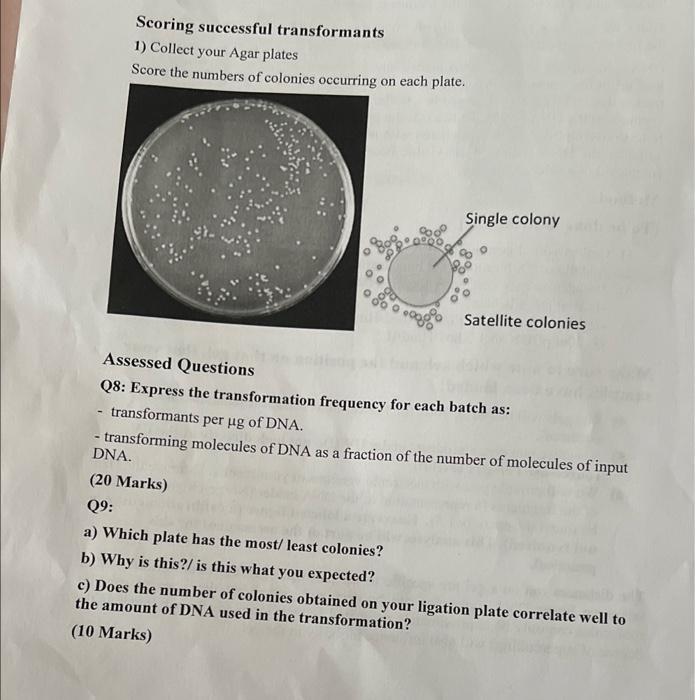 Question 9: Plate A (PCDNA 3.1) had the most colonies | Chegg.com