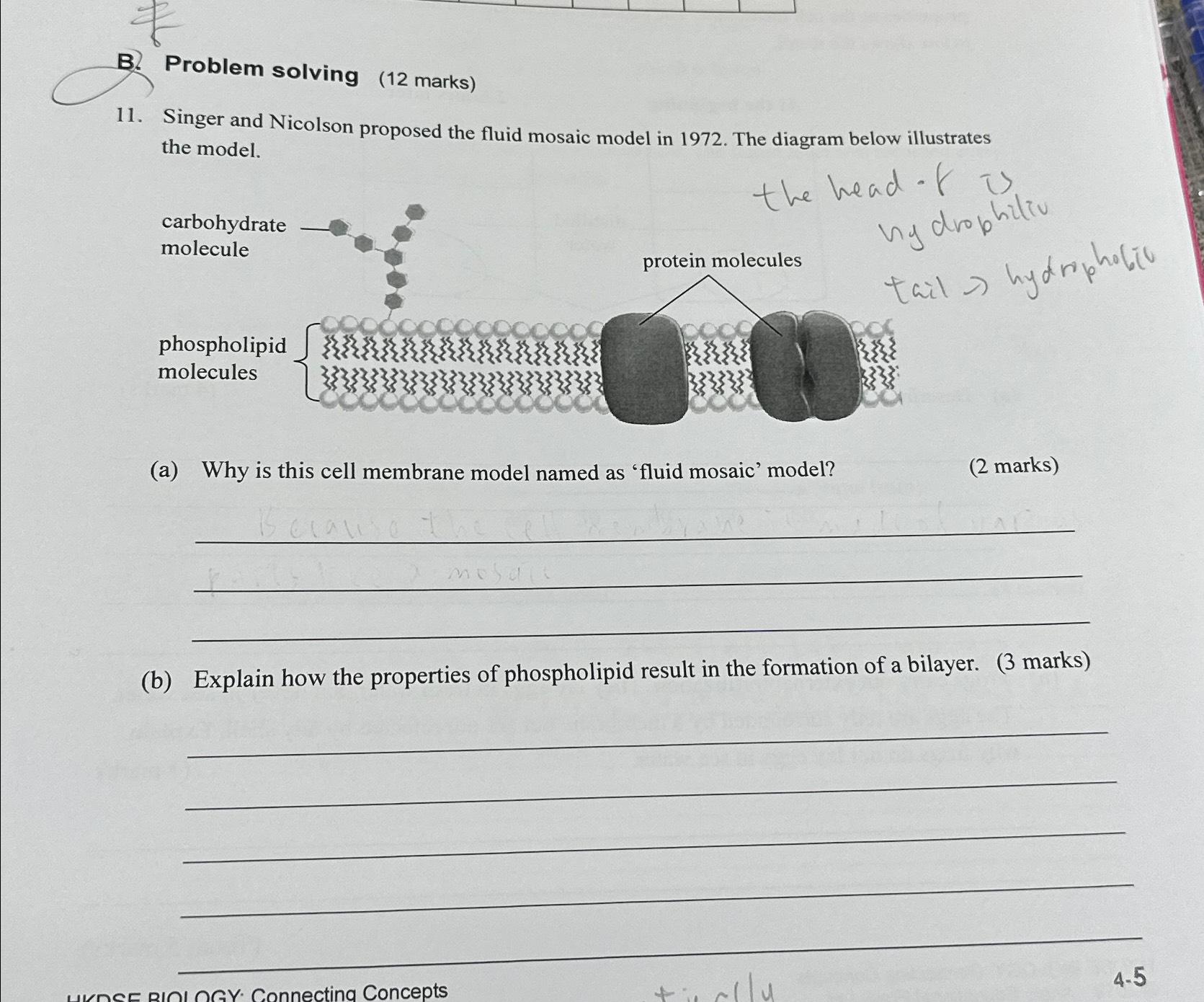 Solved B. ﻿Problem solving (12 ﻿marks)11. ﻿Singer and | Chegg.com