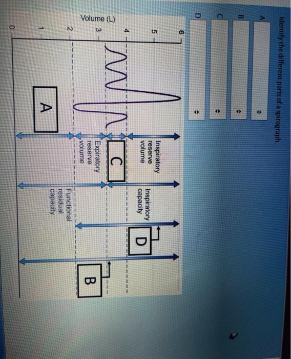 Solved Identify the different parts of a spirograph A 수 B e | Chegg.com