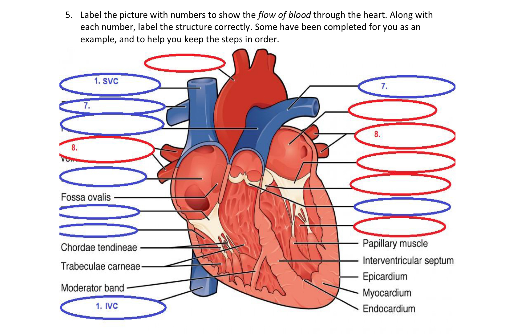 Solved Label the picture with numbers to show the flow of | Chegg.com