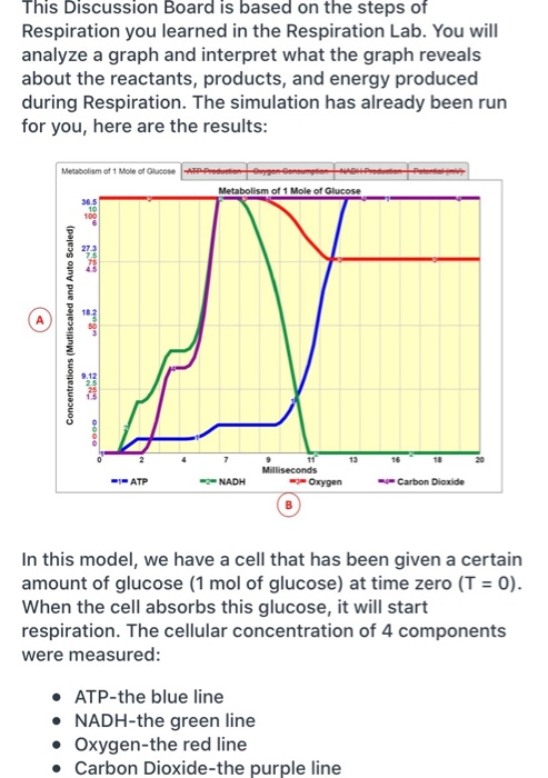 Solved This Discussion Board is based on the steps of | Chegg.com