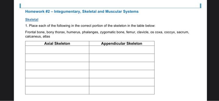 Solved Homework #2 - Integumentary, Skeletal and Muscular | Chegg.com