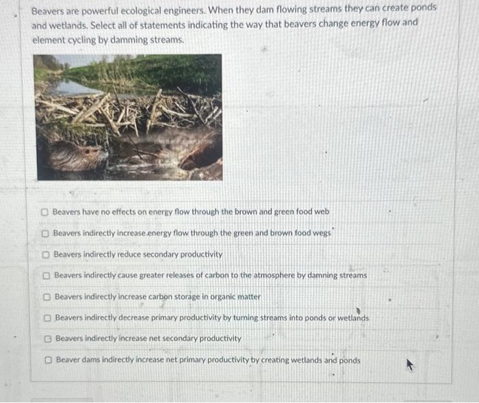 Solved Dead organic matter commonly decomposes in a pattem | Chegg.com