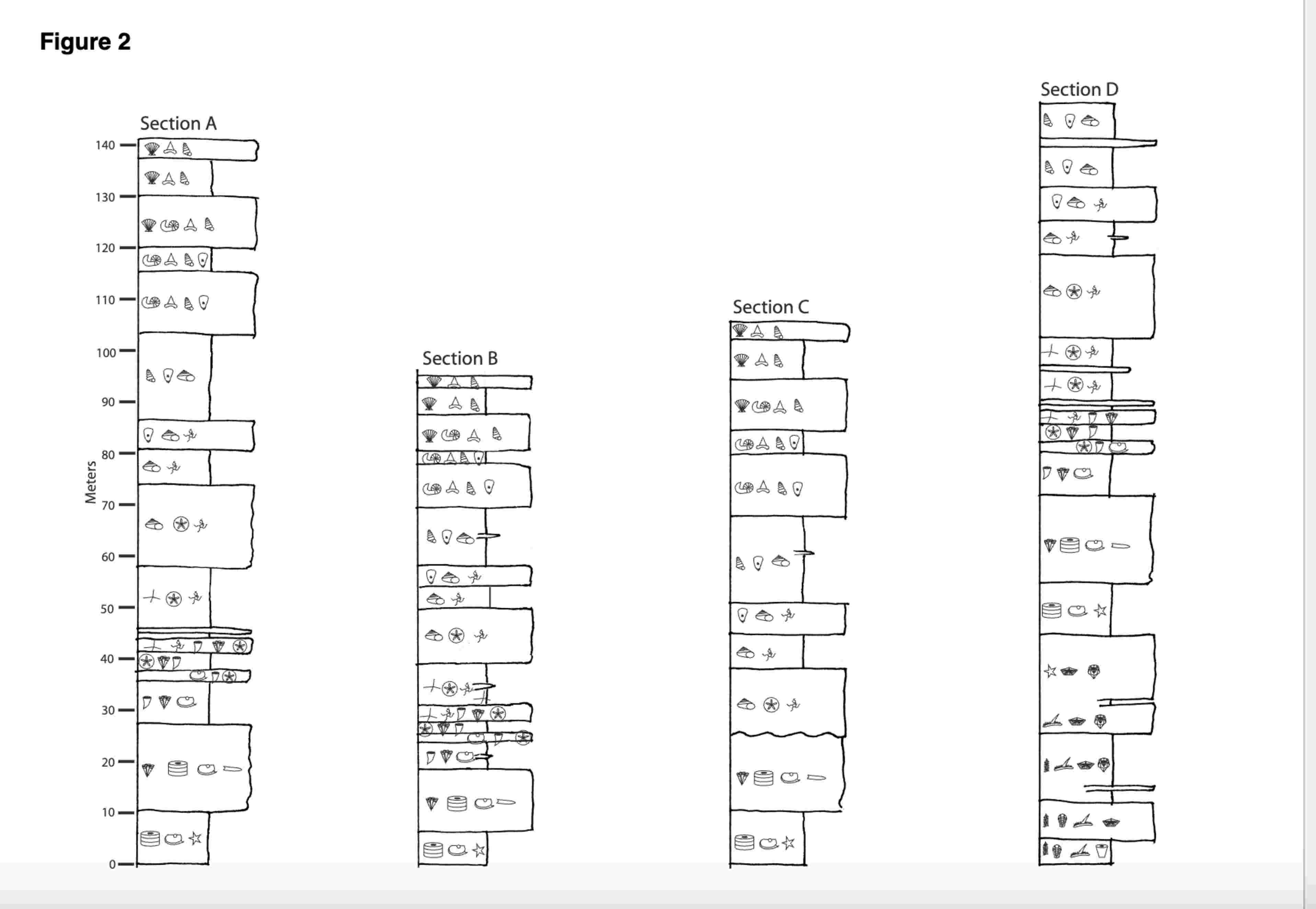 Solved Correlate sections A-D in Figure 2 ﻿by matching both | Chegg.com